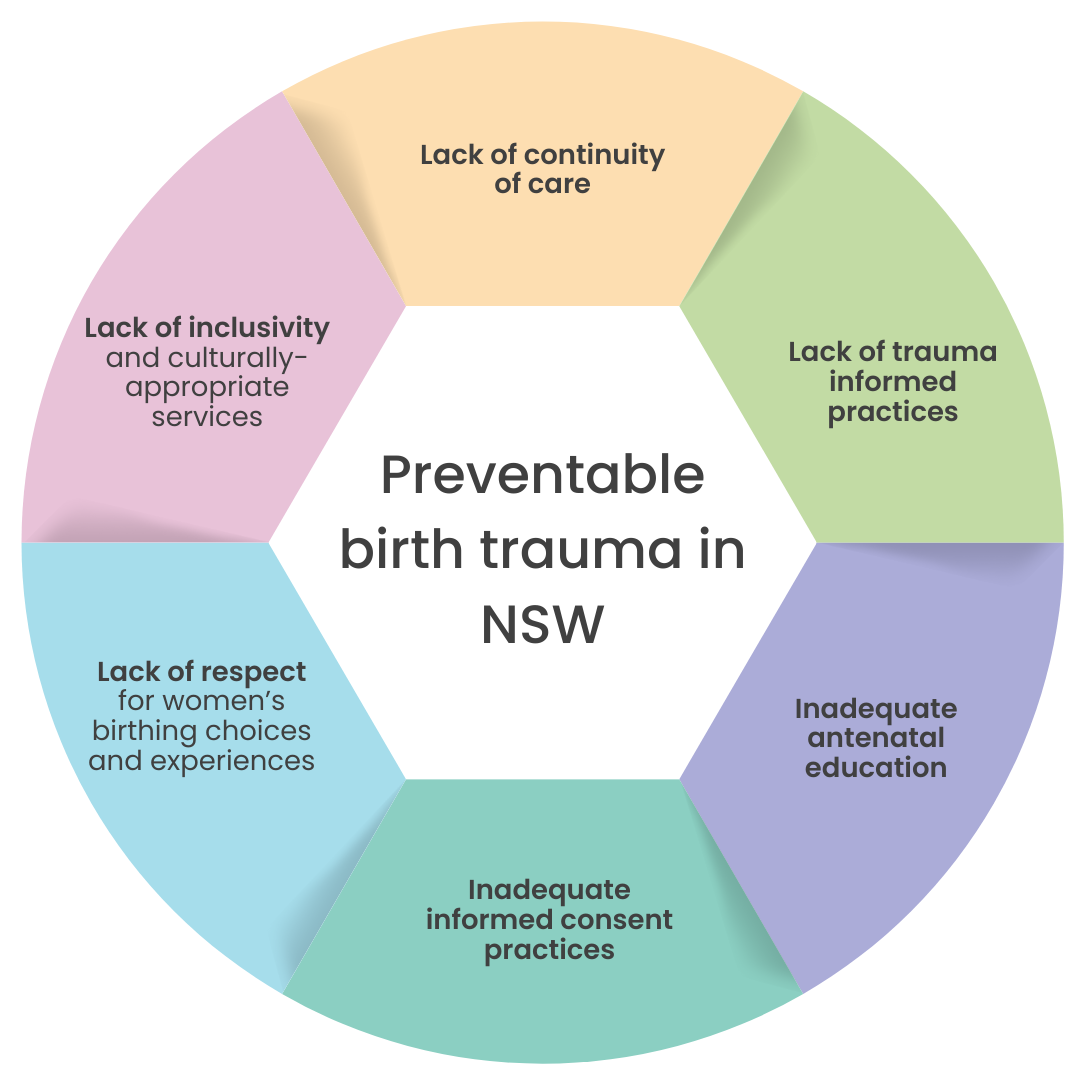 Beyond the Birth Suite: An Overview of the NSW Birth Trauma Report ...